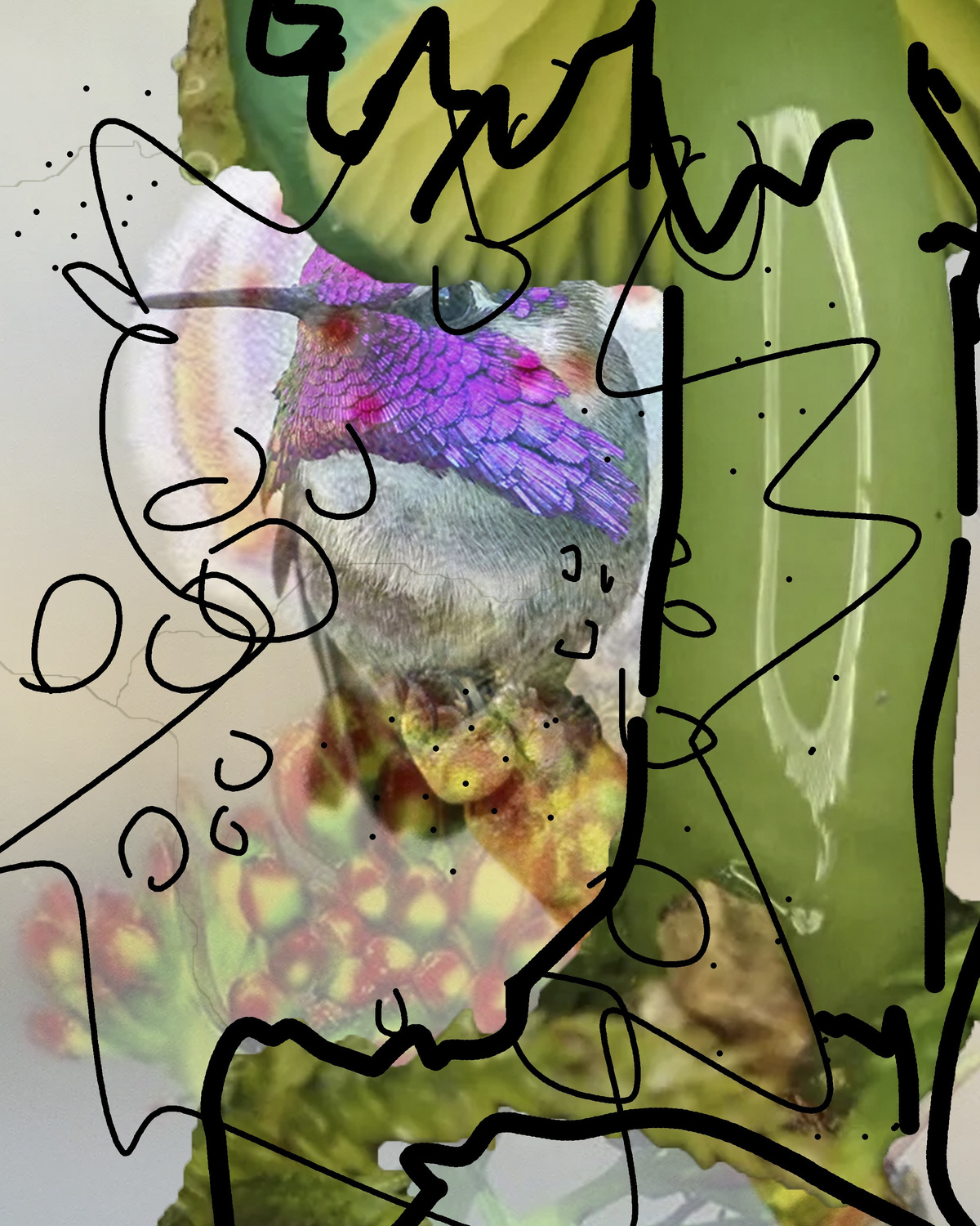 Info — Spore Space