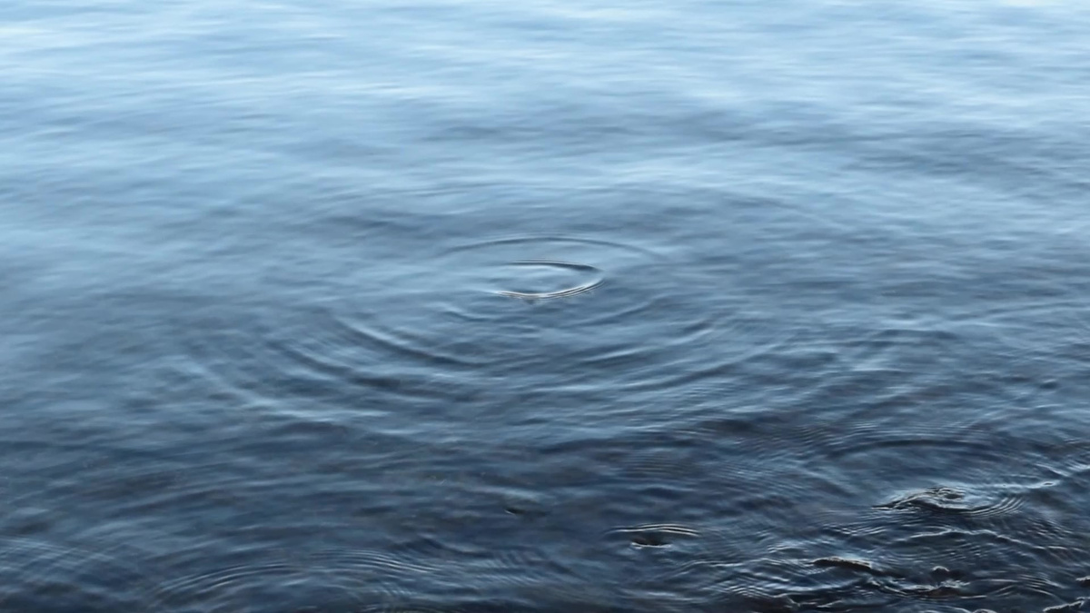 Ripple As An Eye — cinematic landscape exchange