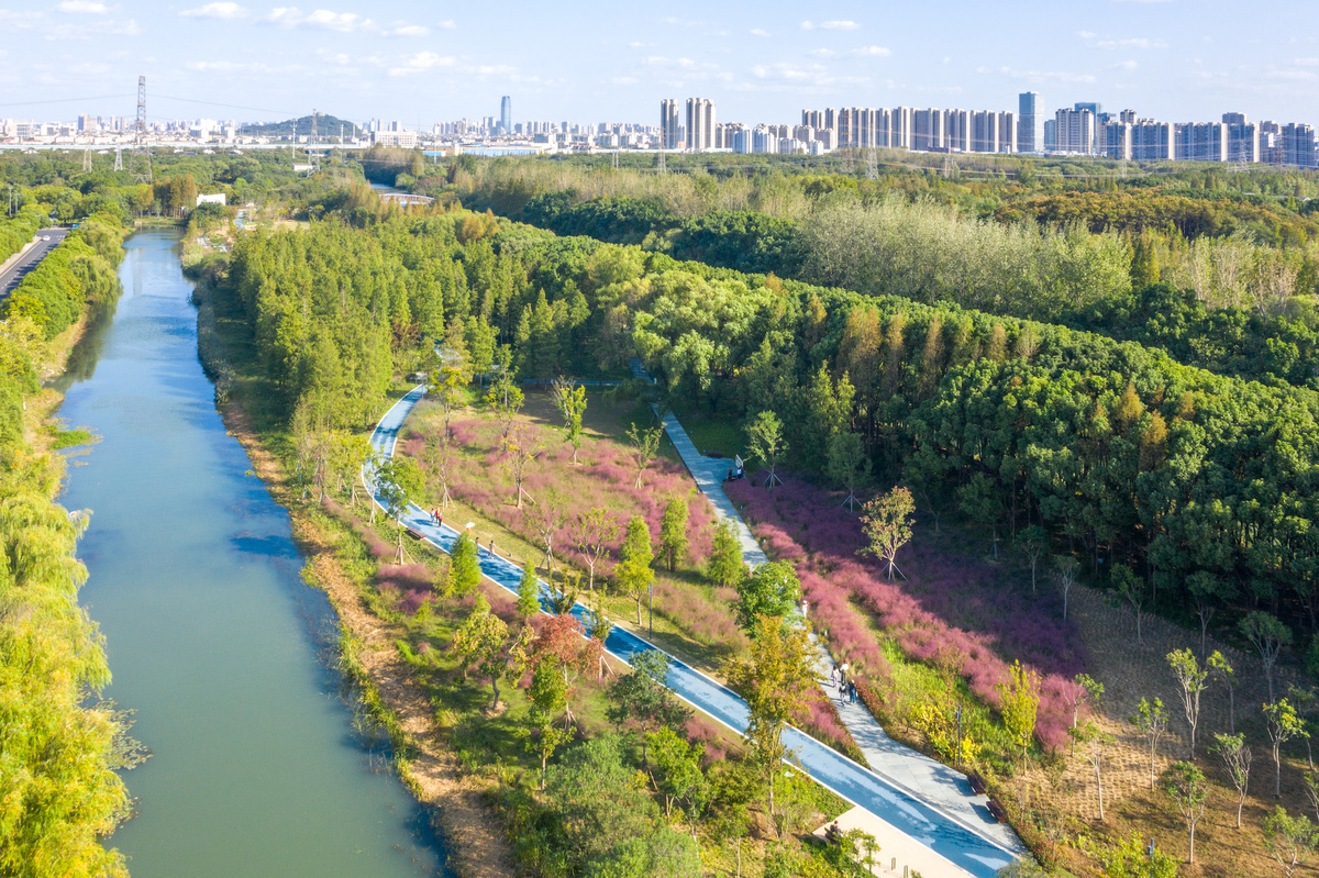 Kunshan Miaojing River Corridor in Autumn — PLAT Studio