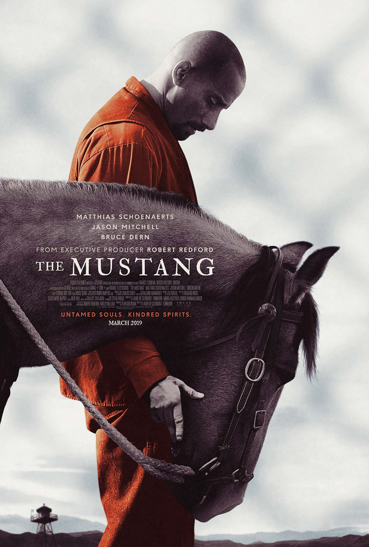 MUSTANG trailer page — rubenimpens.be