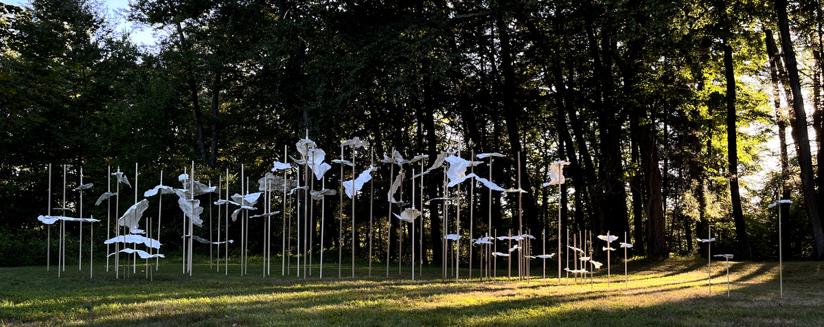 To Pin a Cloud — Cecil Howell