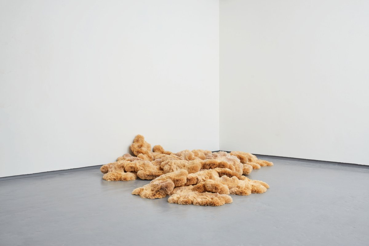 Threshold, 2023 — Chris Soal