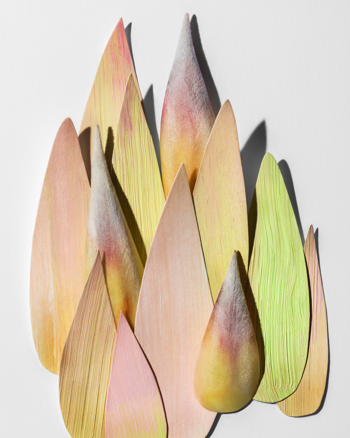 Flower Research — Vasilisa Ganakova