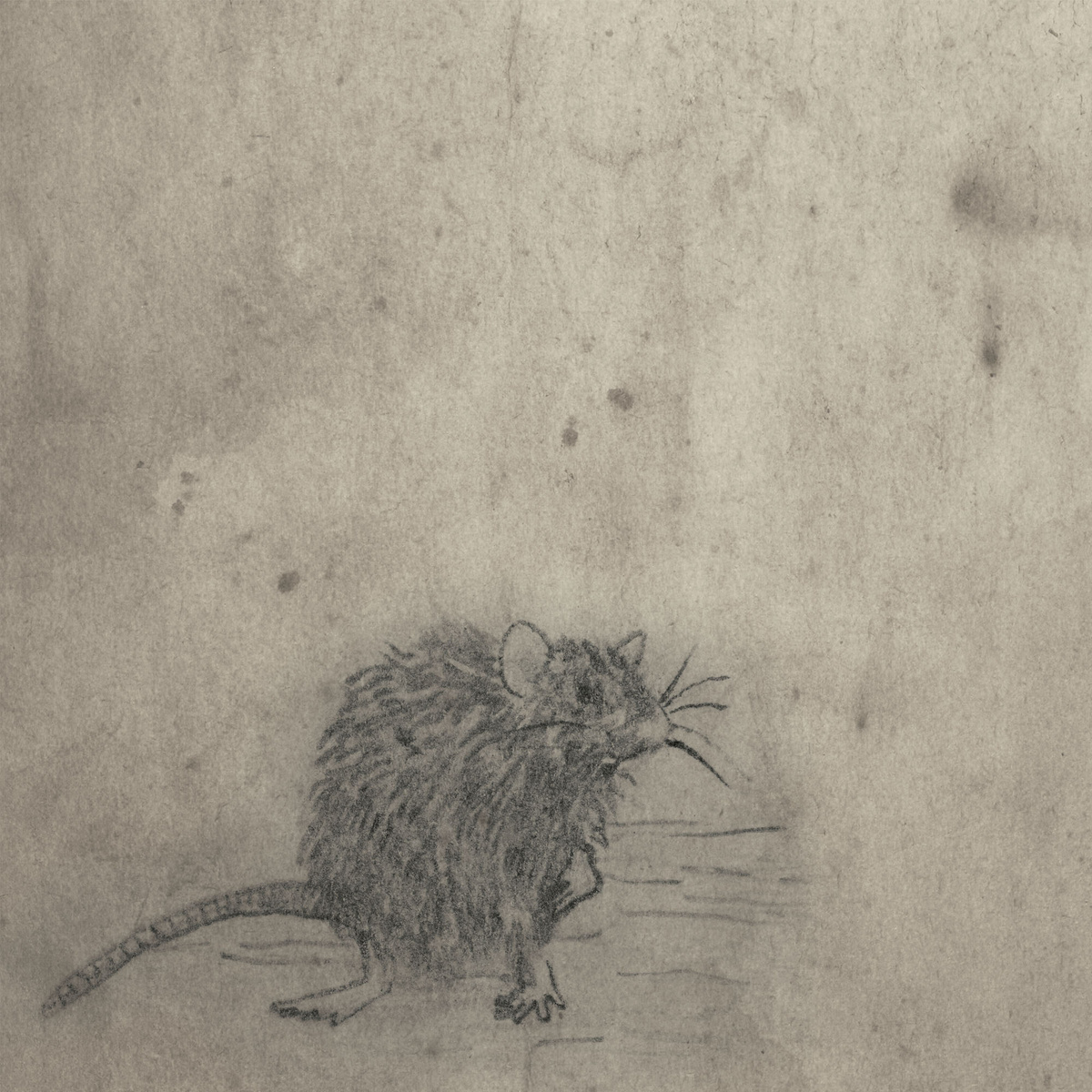 Violencia engendra violencia — Mario H. Valencia