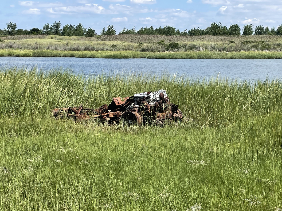 susanlanders — Three Fold