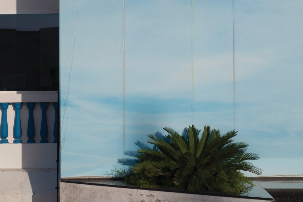 Mild Life — Layan Attari