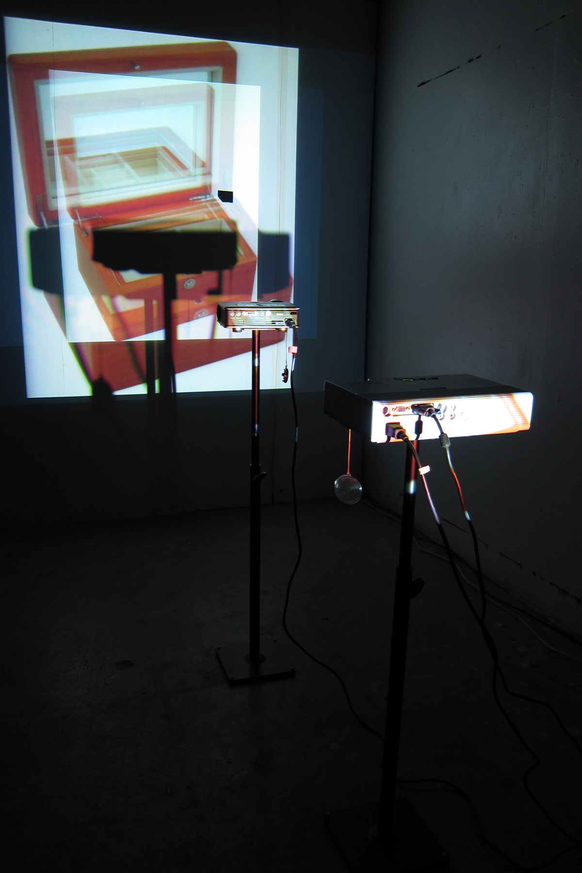 video — Michelle Rosenberg