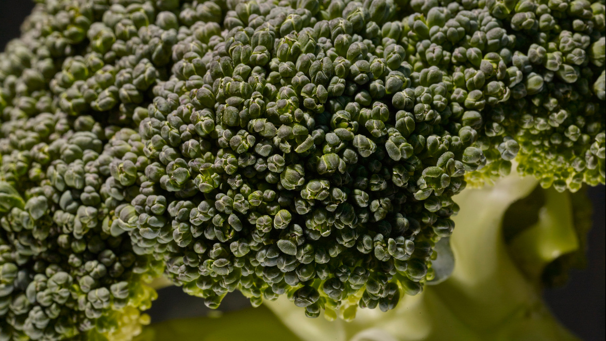 ONLY AMAZING EDIBLE THINGS — carolienniebling1