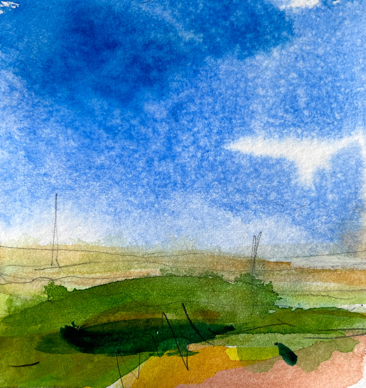 Summer at last! — stewstudio