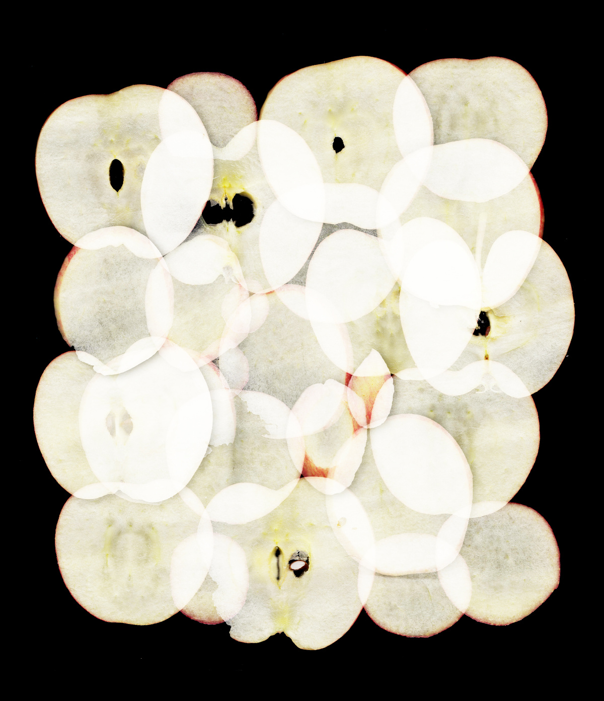 Binary — Harry Flook