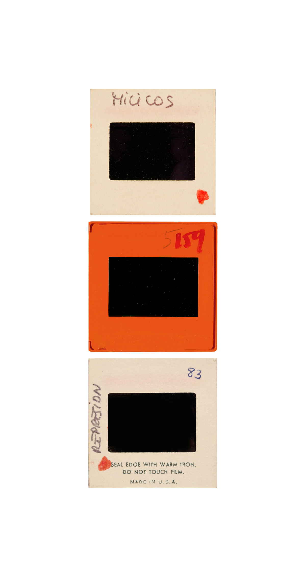 CV — Celeste Rojas Mugica