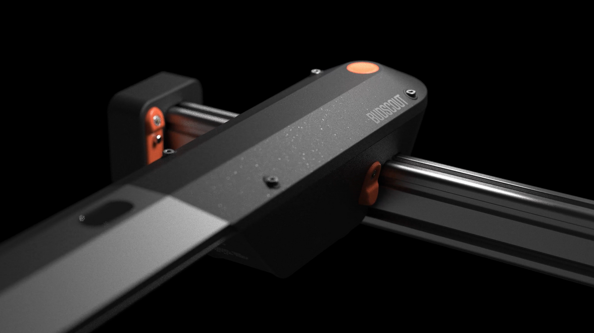 Budscout images — connor adams design