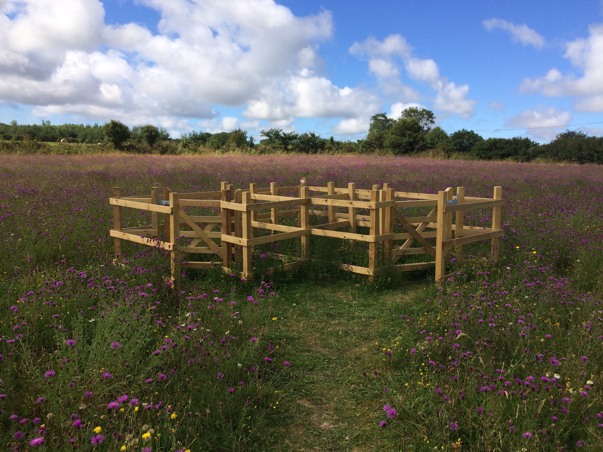 In Other Words, Darling — georgia gendall