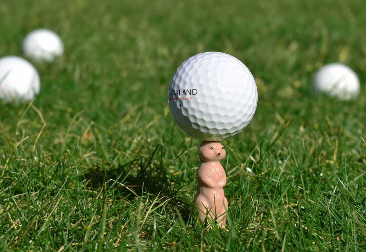 Gopher Golf Tee — Benjamin Garbus Portfolio