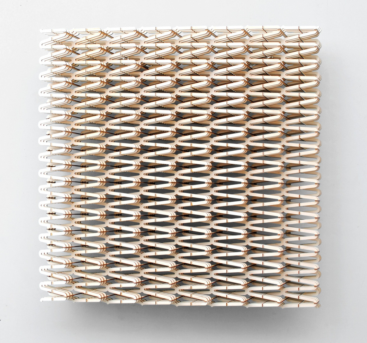 Scale Shift — Christopher Puzio