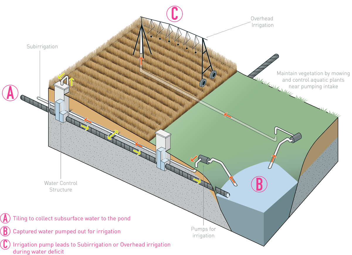 Drainwater Recycling — Working Landscapes Lab