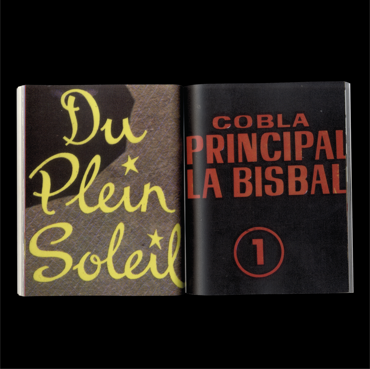 Descripción proyecto 08 — Yolanda Justicia - YOLI