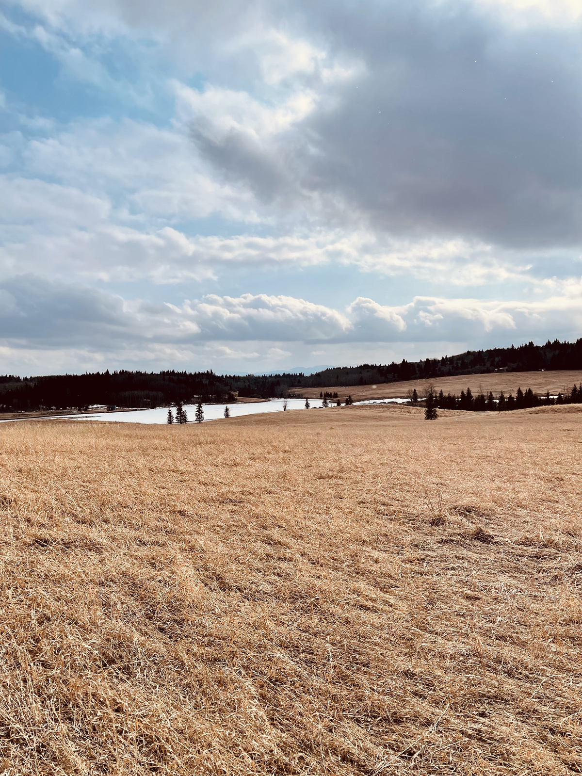 Carraig Ridge — endemicarchitecture