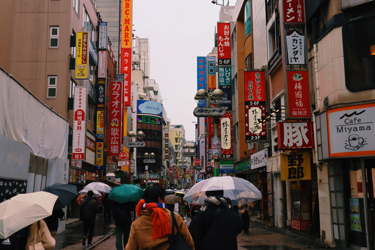 Travel Documents — Emma Winton