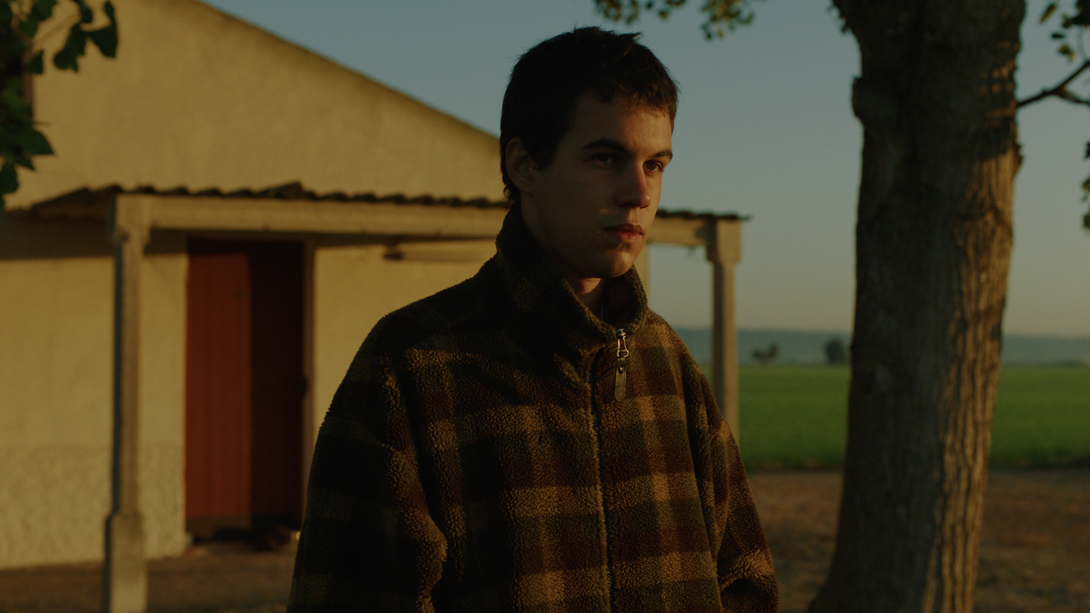 arrulla — Greta Diaz Moreau