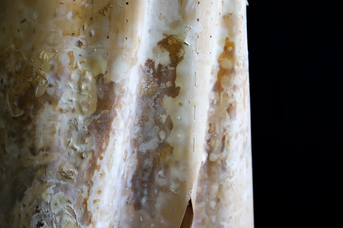 Mycelium Stool Composite — kaphend