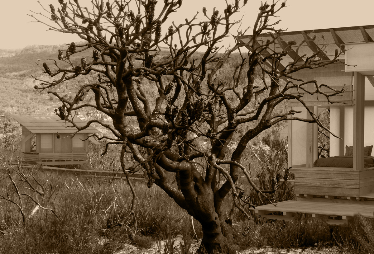 Camp — Heidi Axelsen and Hugo Moline