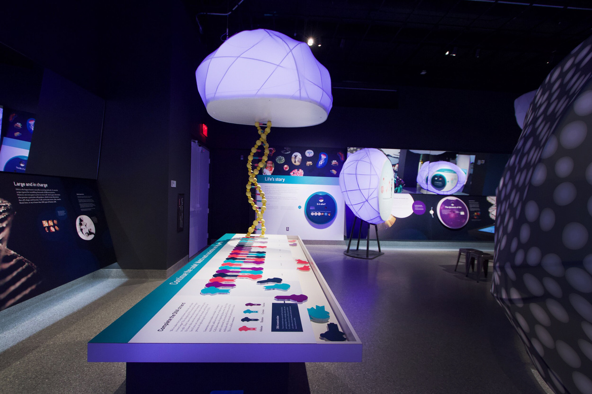 Microbiology Gallery – University of Michigan Museum of Natural History ...