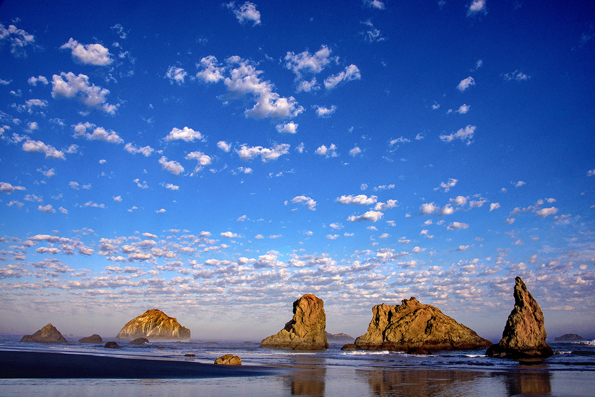 Dan Cook — dan cook