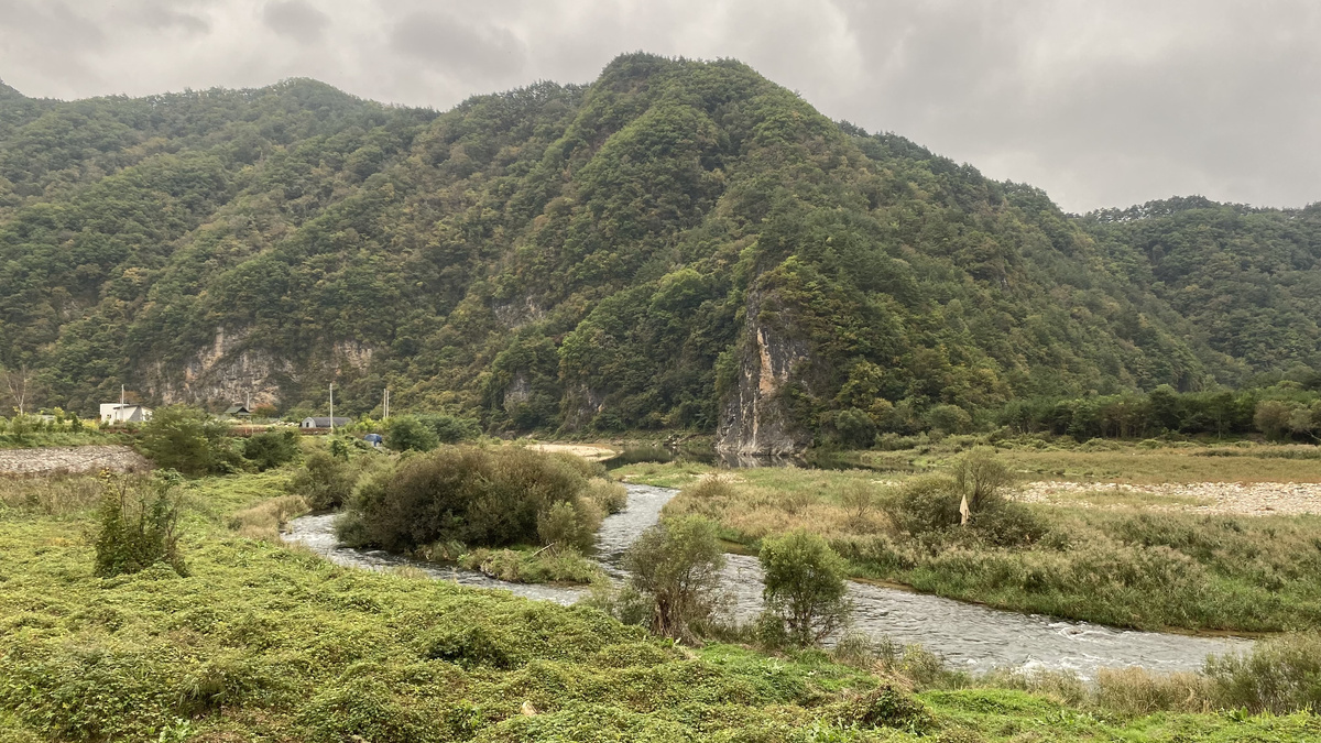 FER — studio meeli