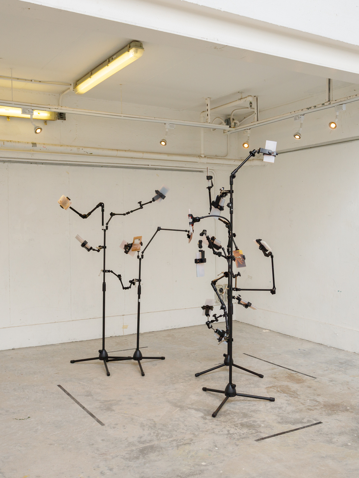 The Intouchable — Liao Jiaming