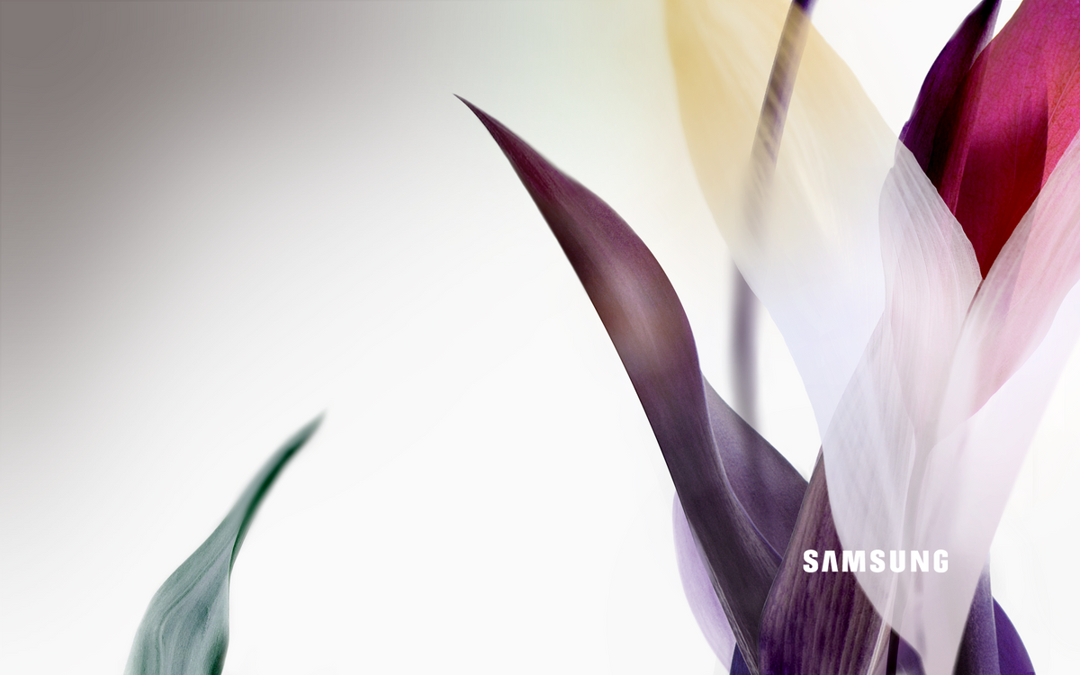 Samsung Wallpaper — HEY JUNE