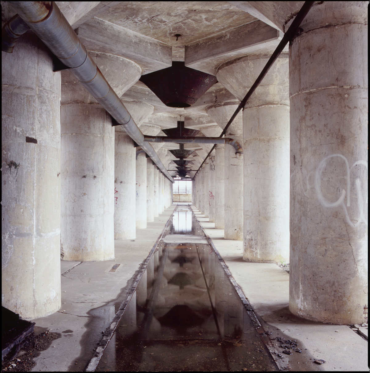 Grain — Jeremy Blakeslee Photography