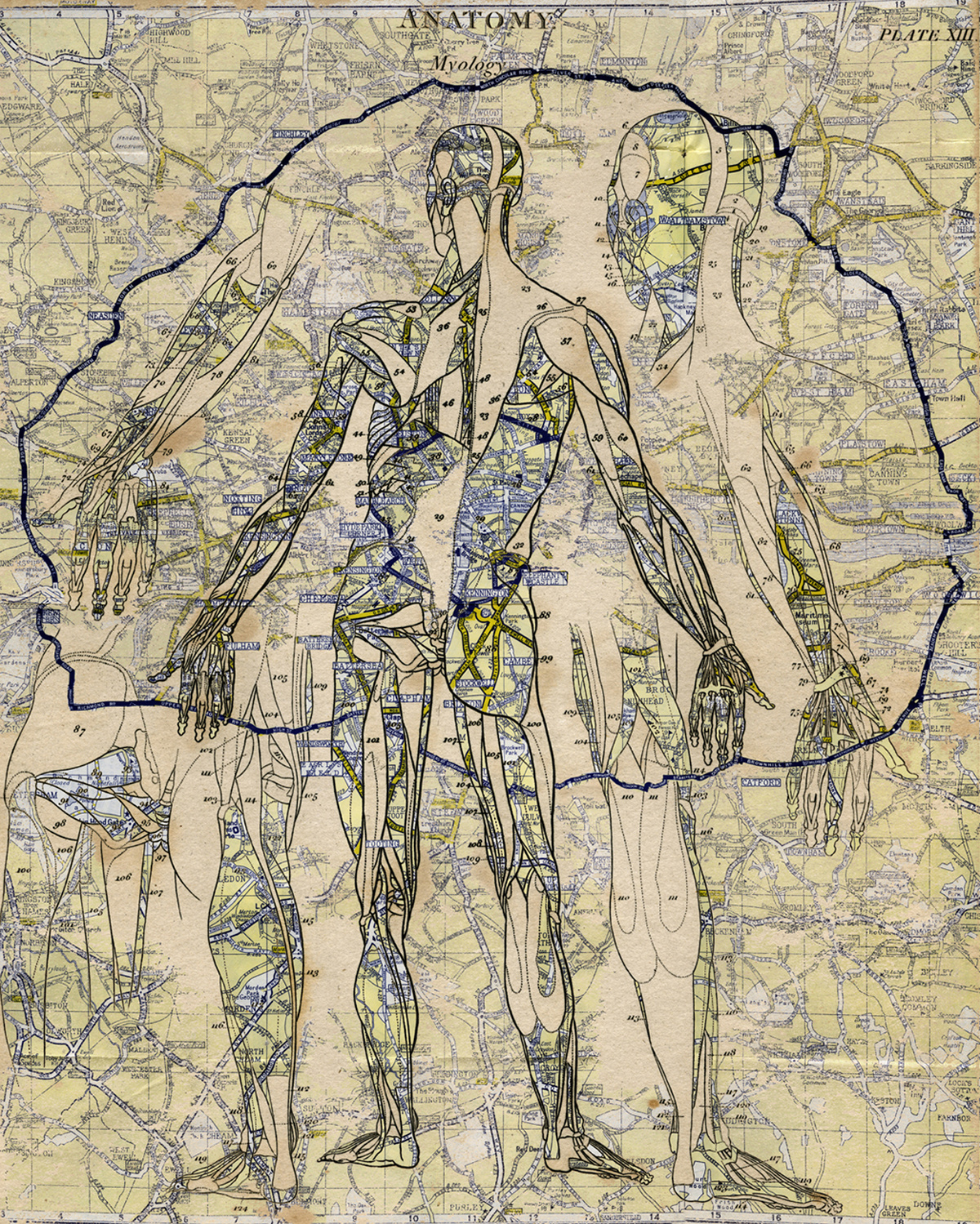 BodyMapStudy1 — www.gavinmitchell.net