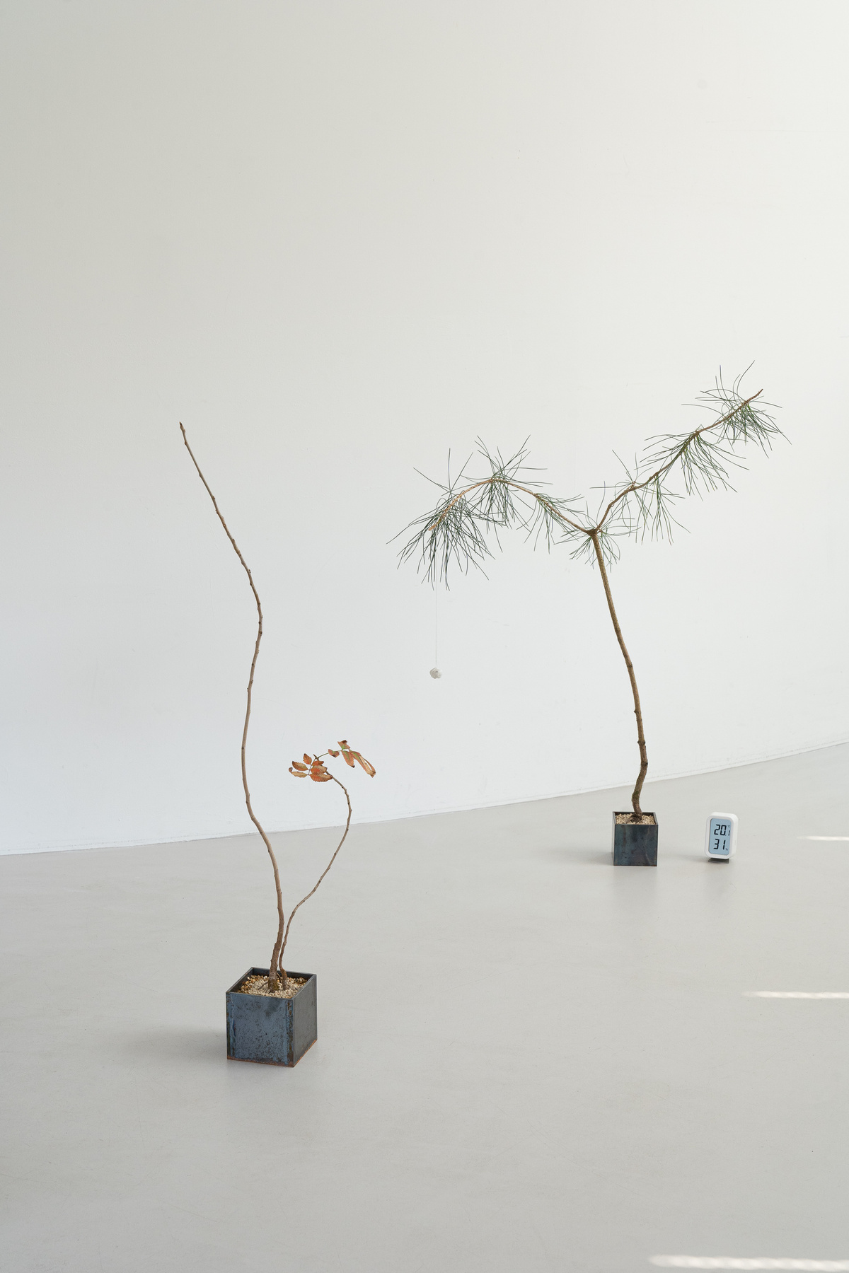 21 Negative Lines — gyucity