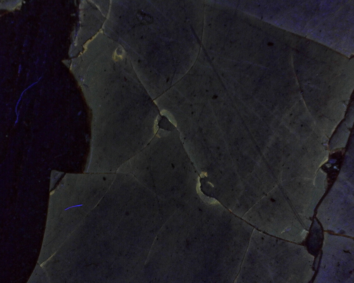 About Us — Delta Conservation