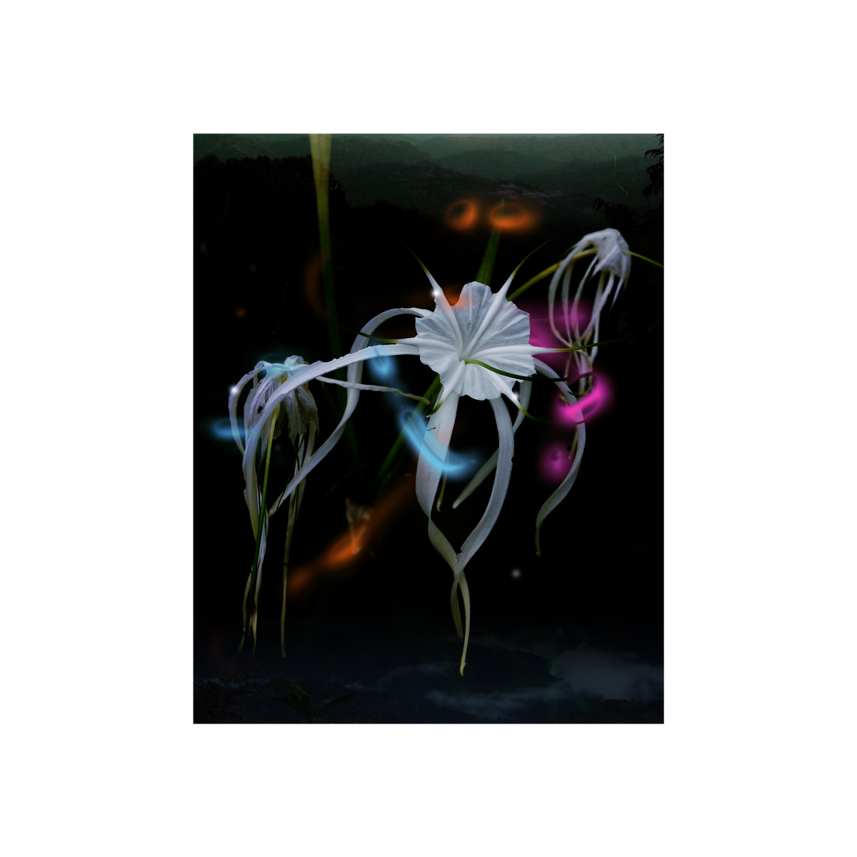 Espíritus — Jonna Mayer