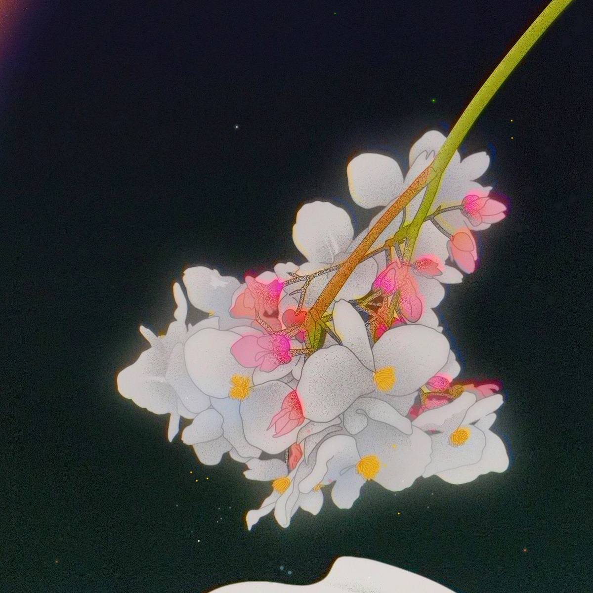 synthetic velvet — sofia hjortberg