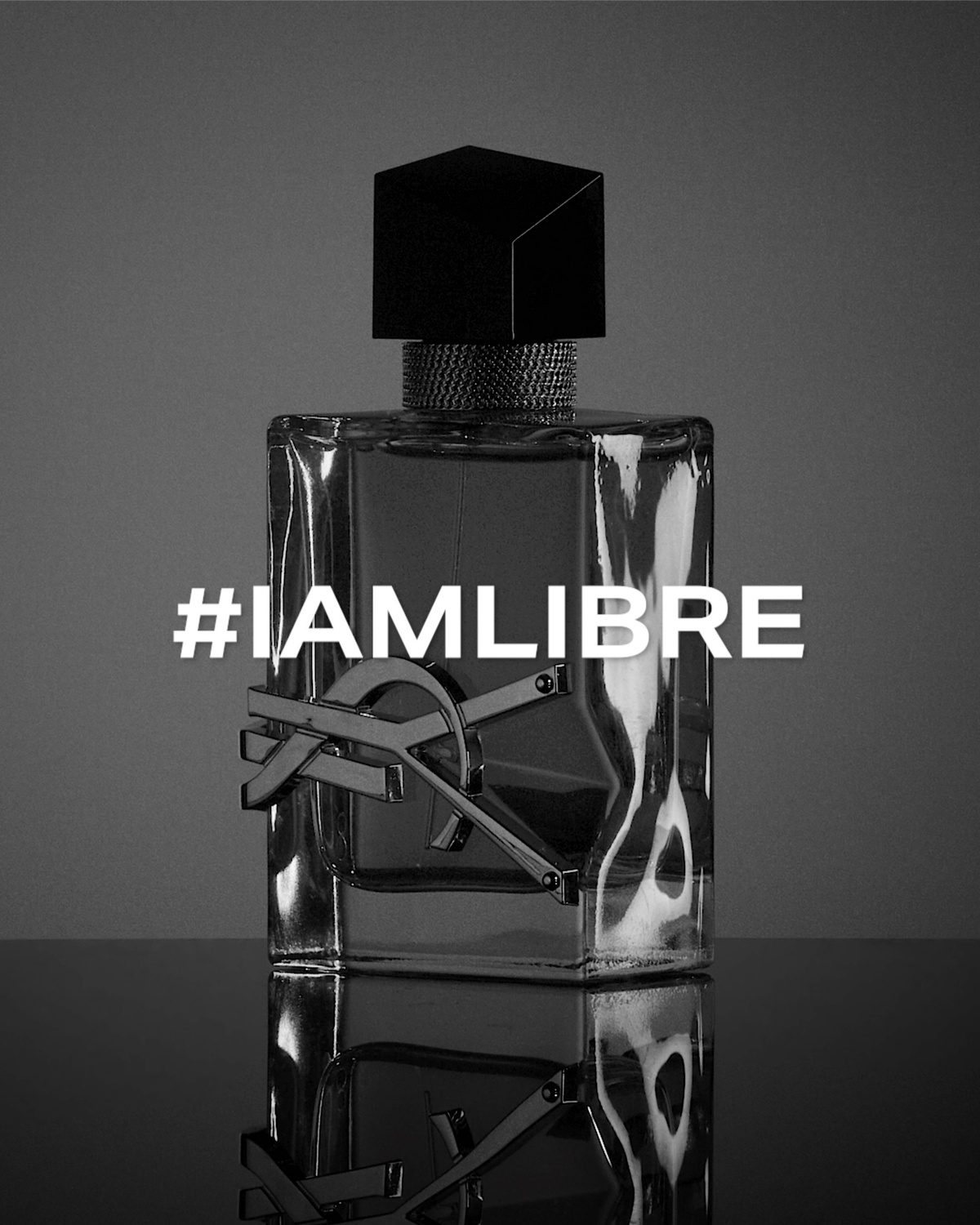 YSL_I — STUDIO DOSI