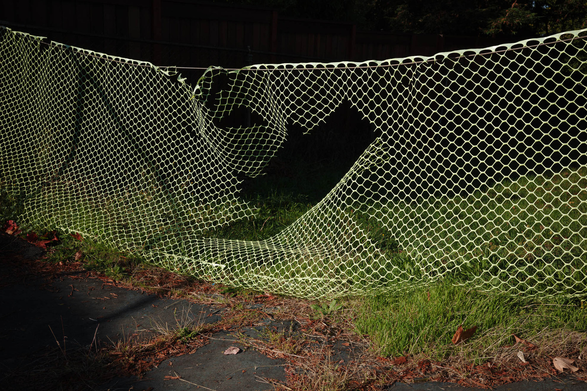 JACOB HEINY — NOICE Magazine: Championing Unconventional Visual ...