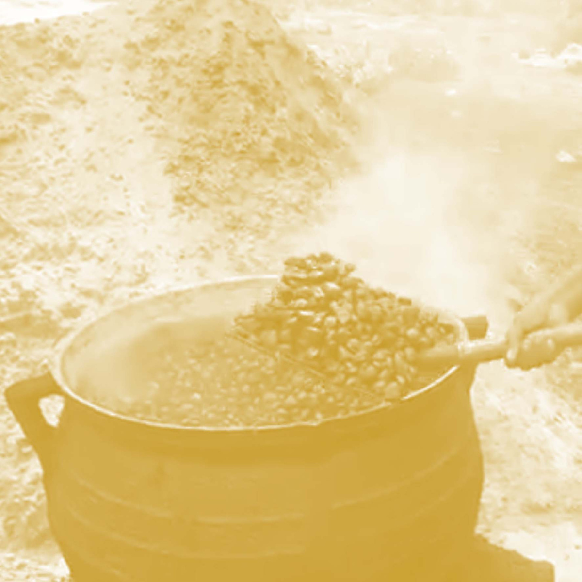 Missing Ingredients — House Of African Feminisms