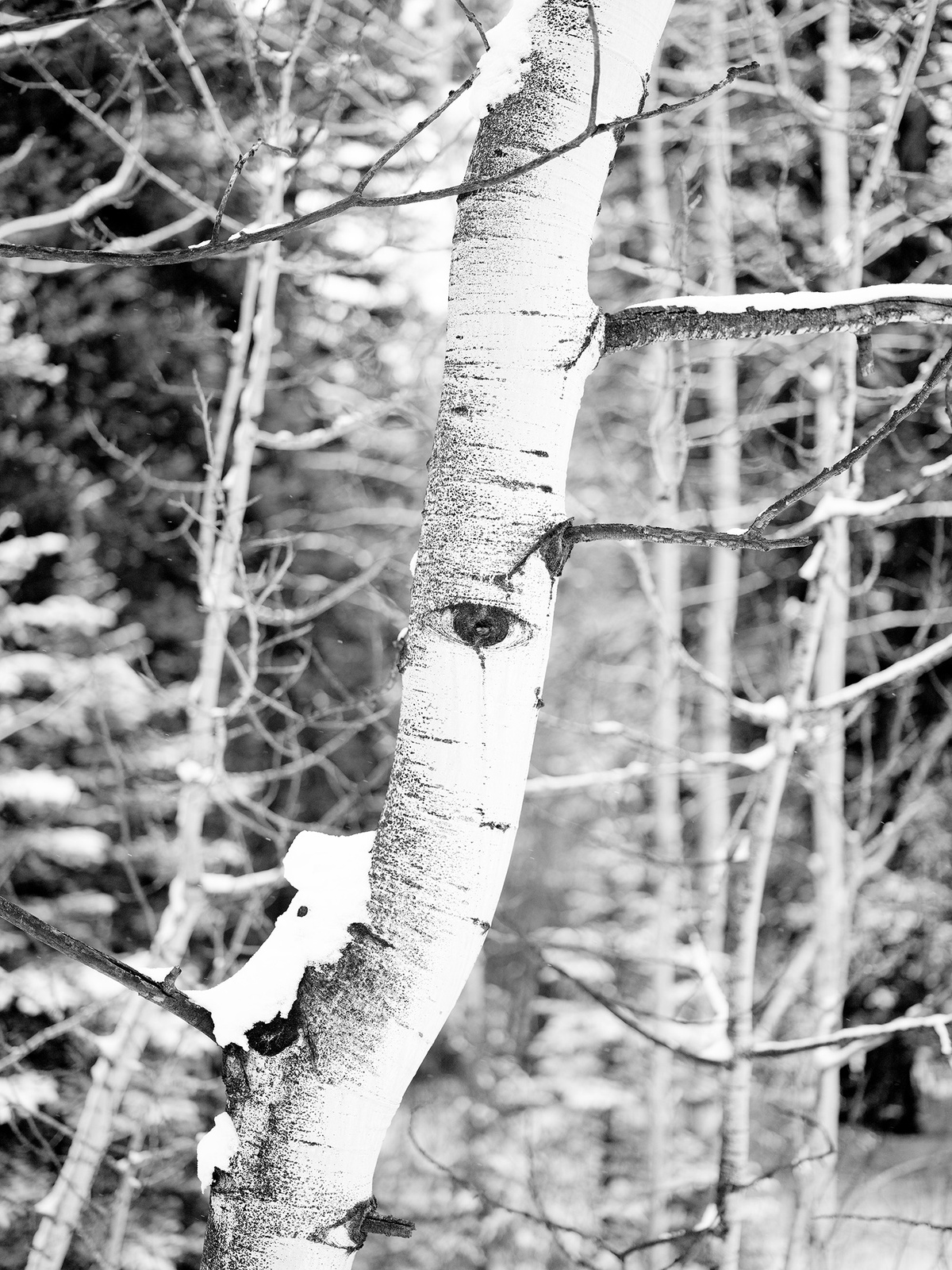 New work (in progress) — Justin James Reed