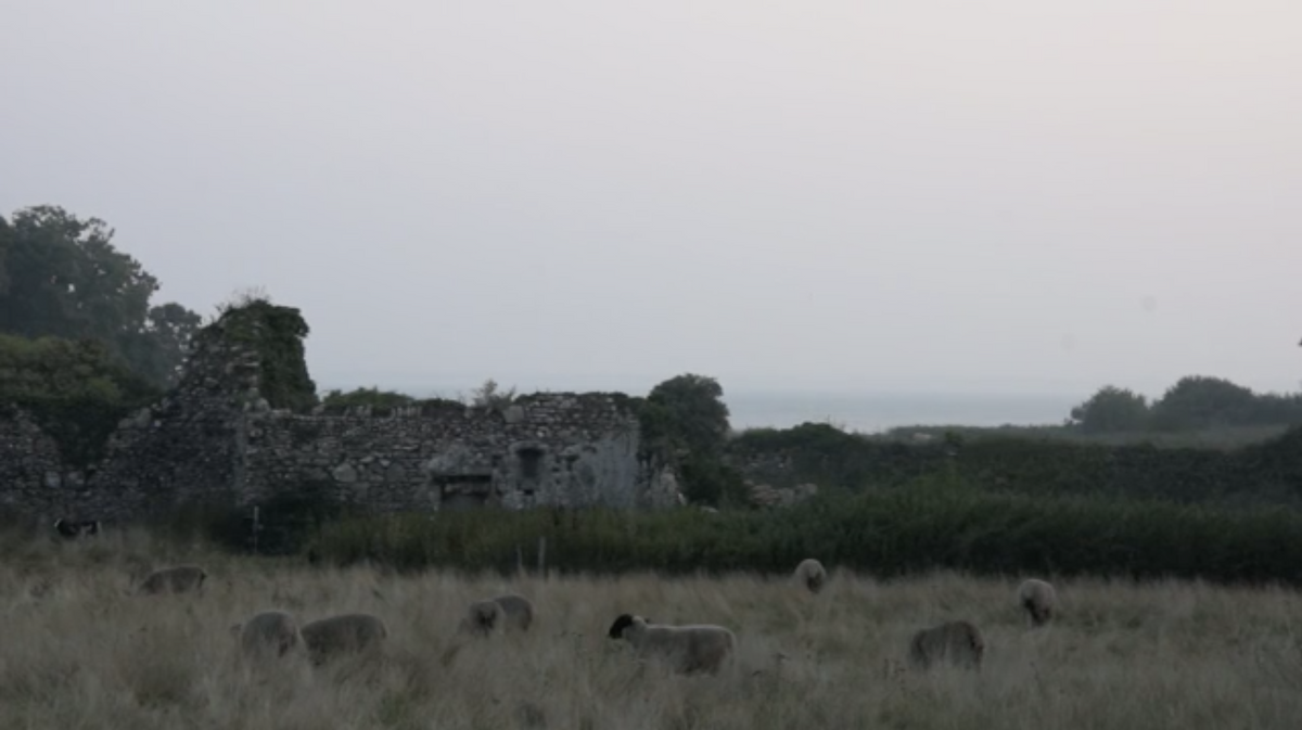 The Oblate (2013) — Jeremy Millar