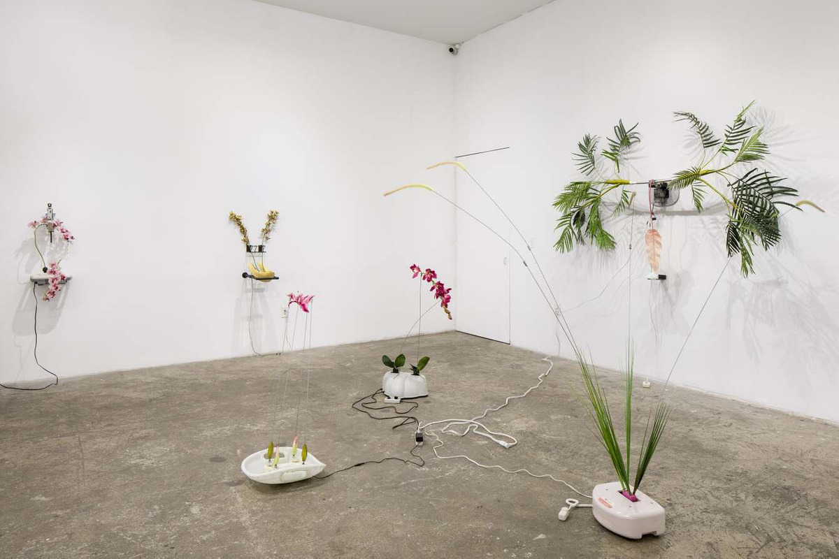 Ava Morton2 — FeralFabric2022