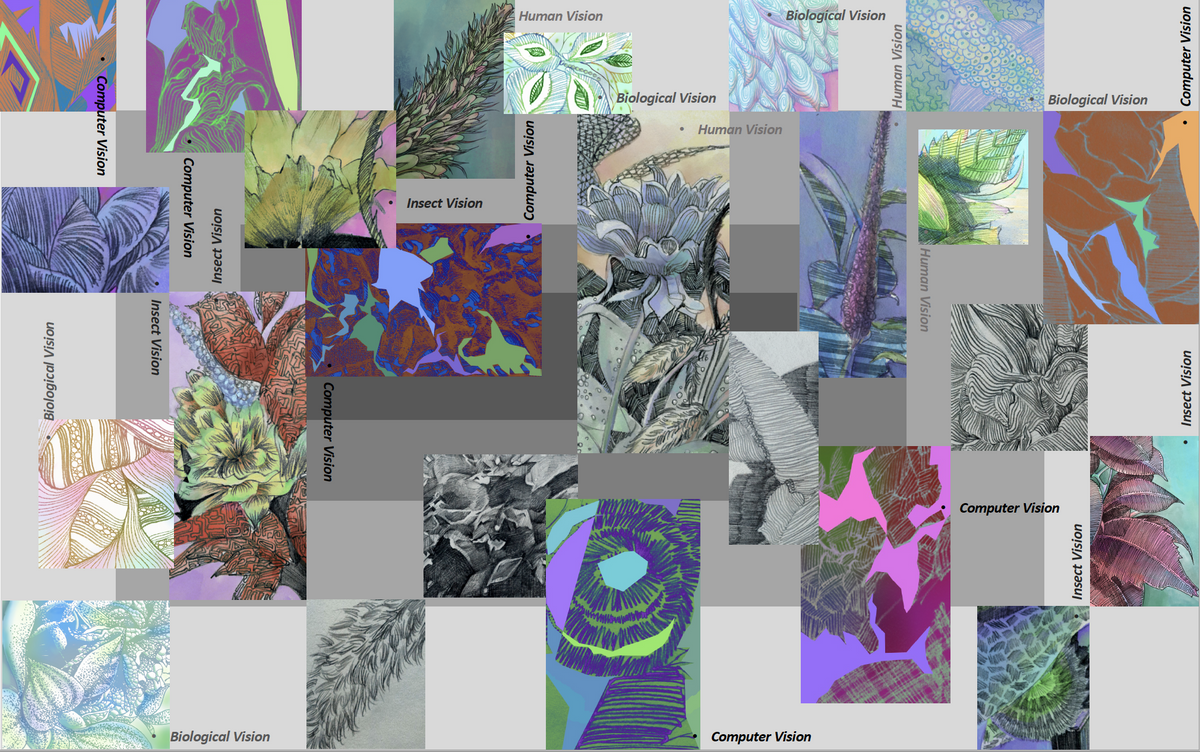 Plants Fragments — Wan Sarah Selected Works