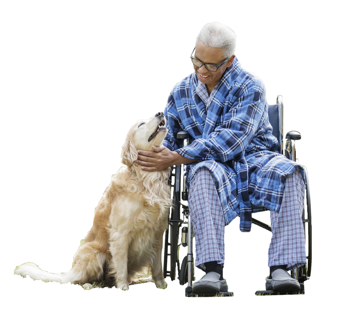 002 — Elderly Entourage