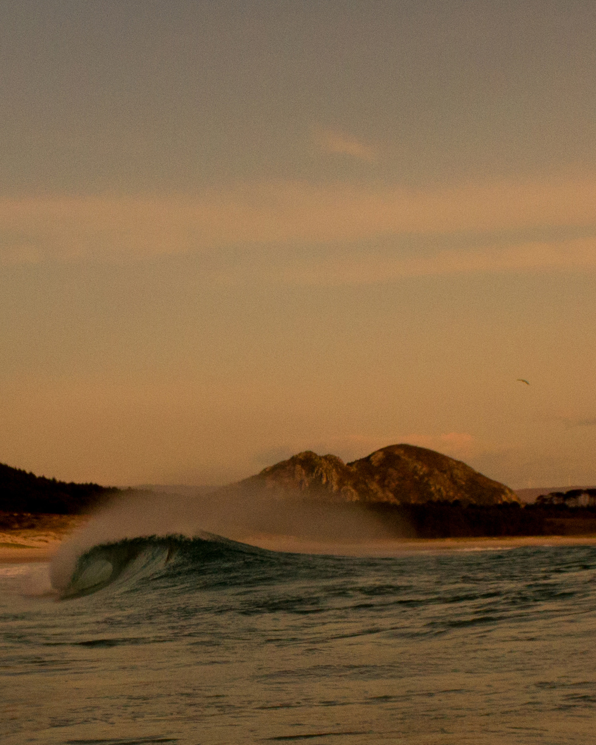 SURF II — Rodri Porcelli