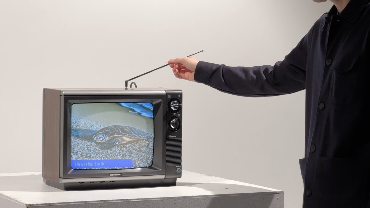 Diffusion TV — Sihwa Park