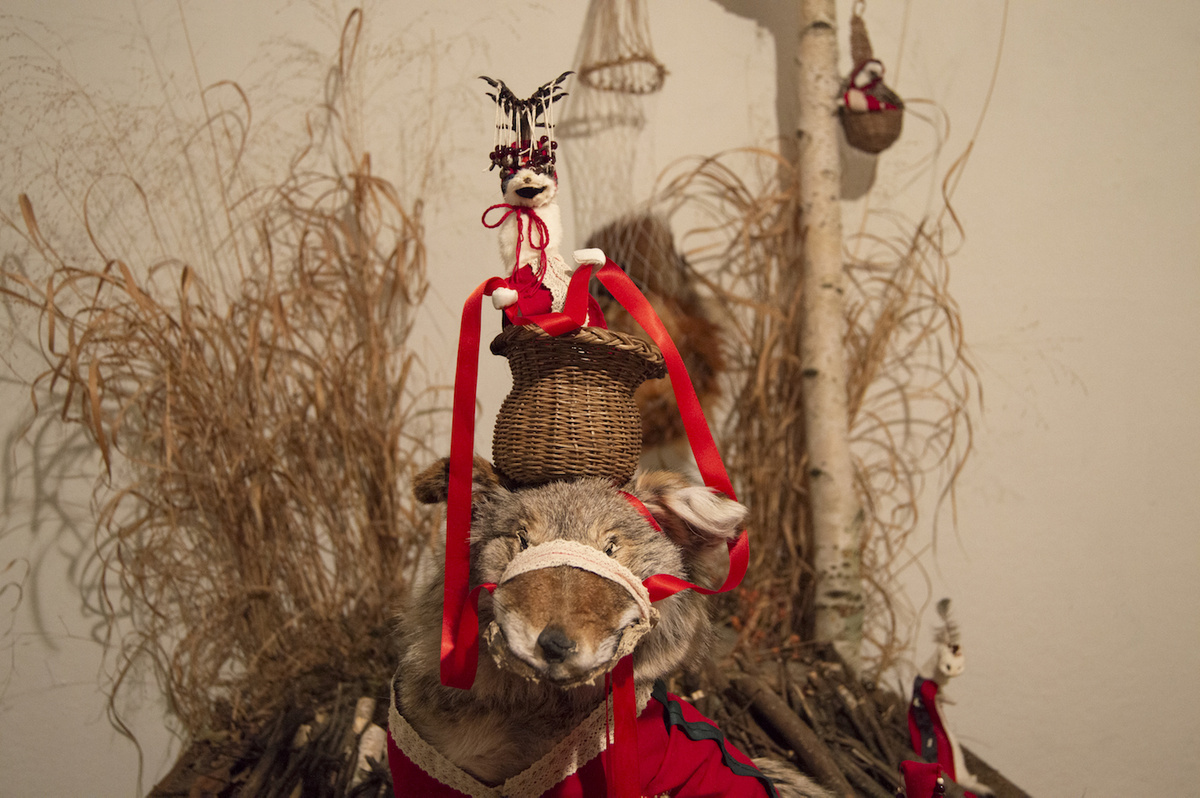 Animal Cult — Emmett Donlon