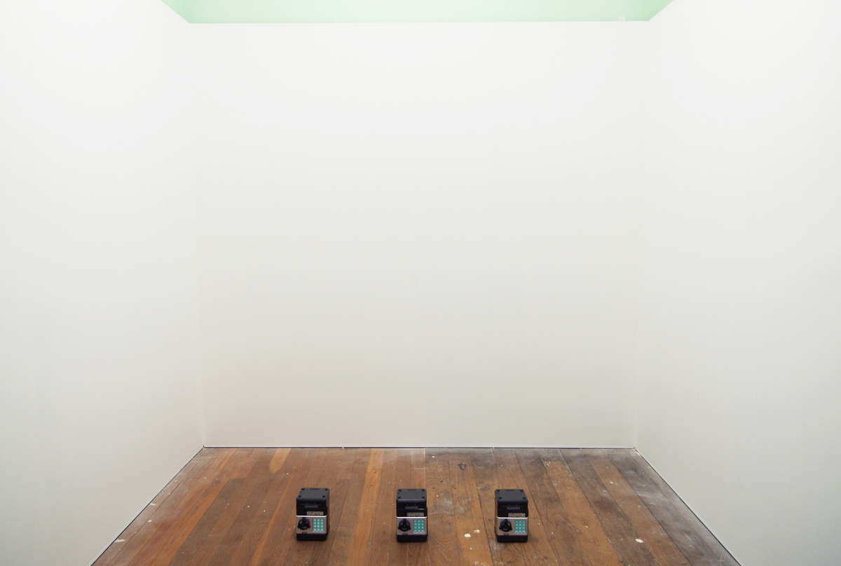 Débora Delmar — Disneyland Paris