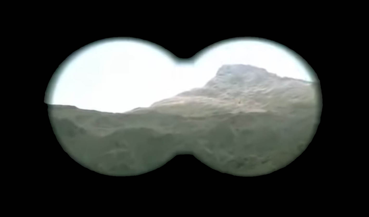 A Gorgon Stare — Shahana Rajani